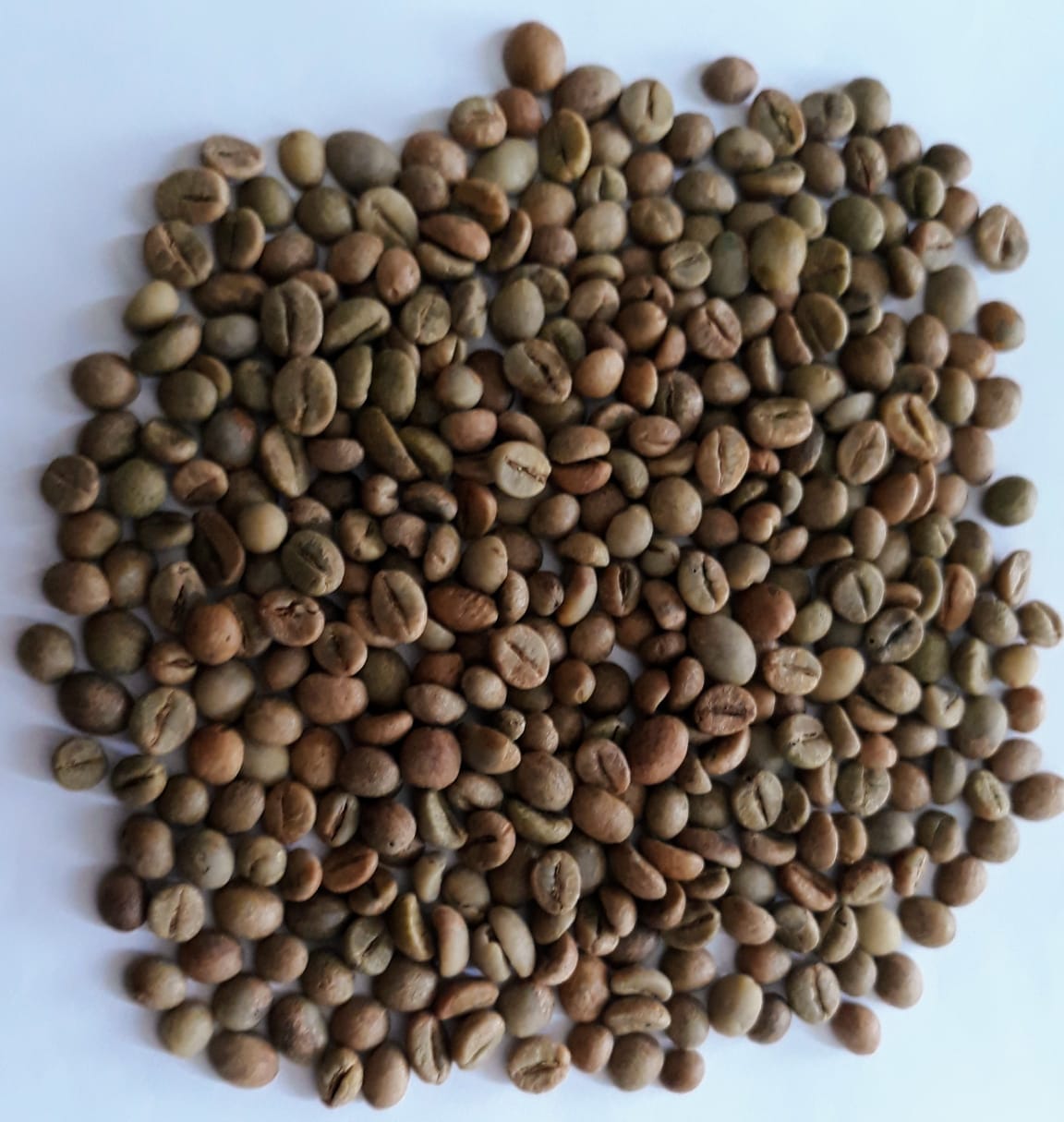 About Us – Tekno-coffee.com